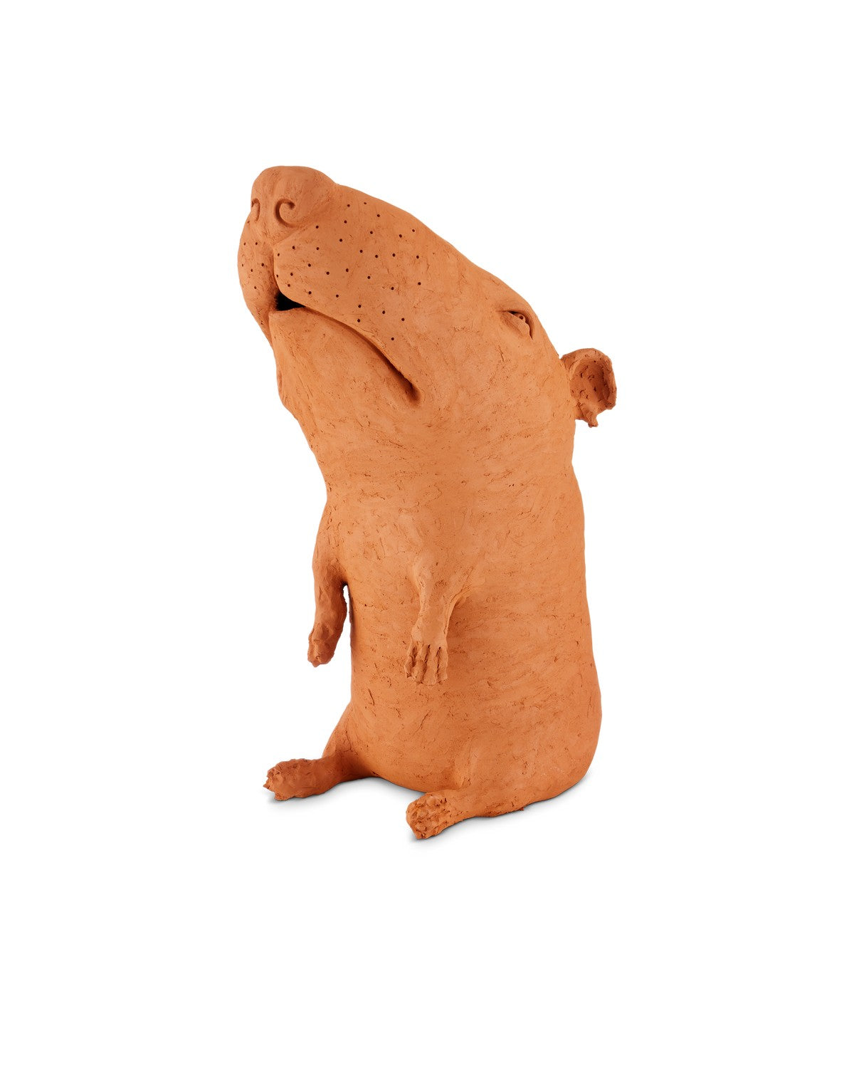 Currey and Company - Sam the Mutt - Sam the Mutt — Union Lighting & Decor